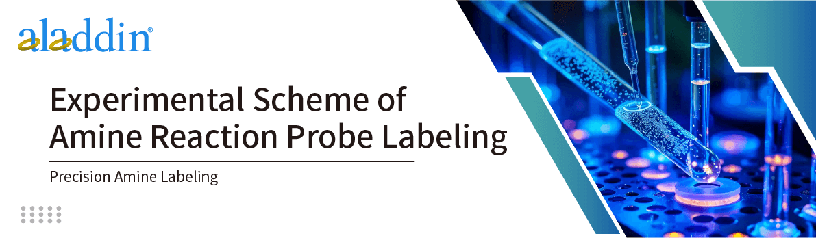 Amine-Reactive Probe Labeling Experimental Protocol