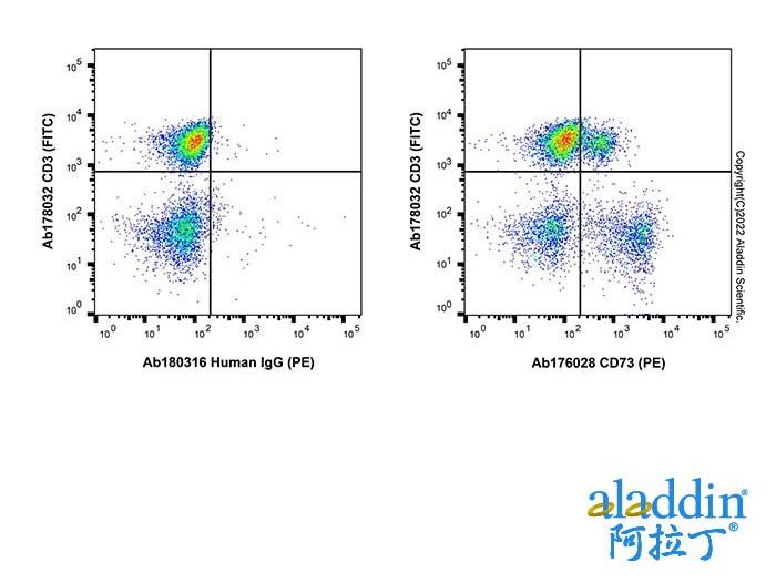 Guidelines for Using Isotype Control Antibodies