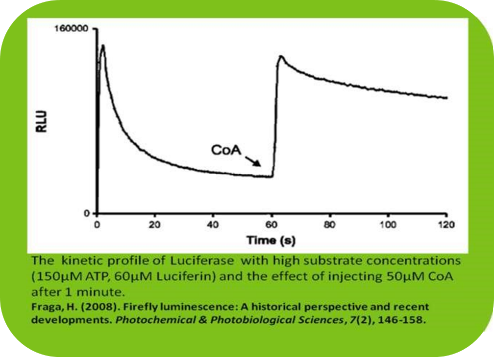 D-Luciferin In Vitro Protocol